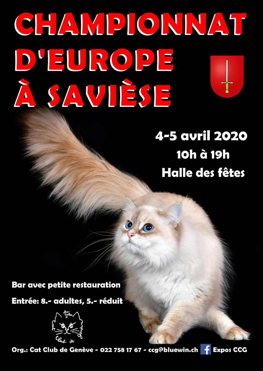 CCG Cat Club de Genève